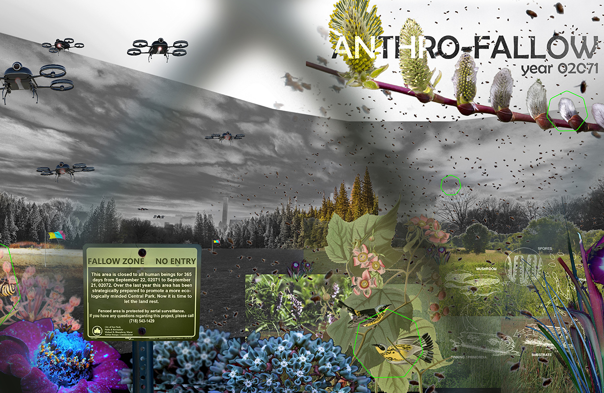 Master of Landscape Architecture - The Bernard and Anne Spitzer School ...